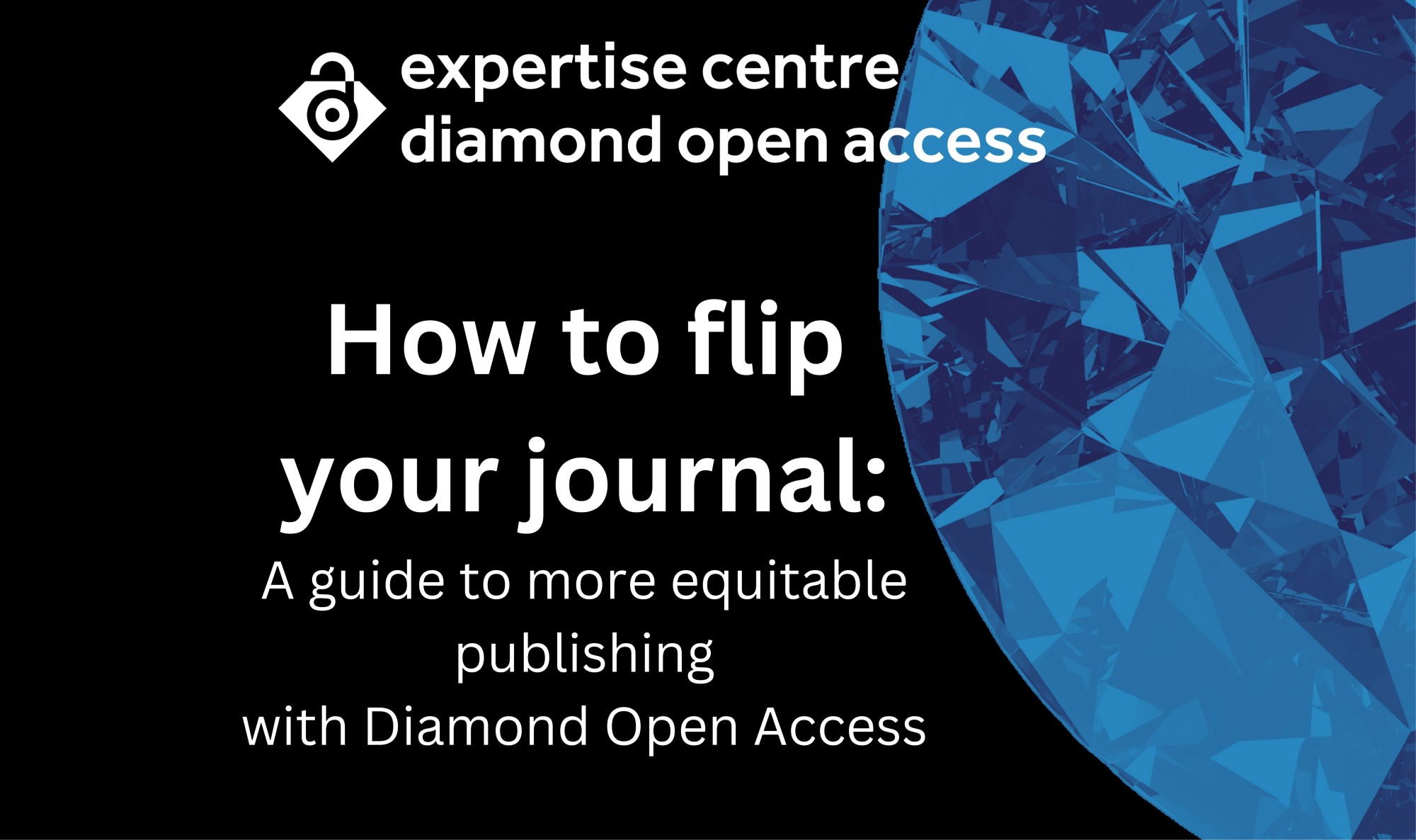 How to flip your journal: A guide to more equitable publishing with Diamond OA | Open Access